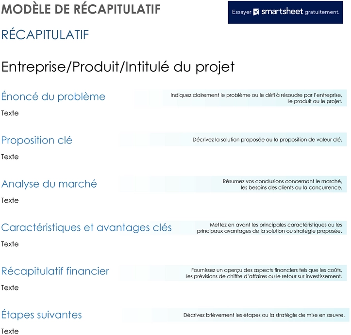 Modèle Executive Summary Word pour Rapports et Projets - modeles.fr