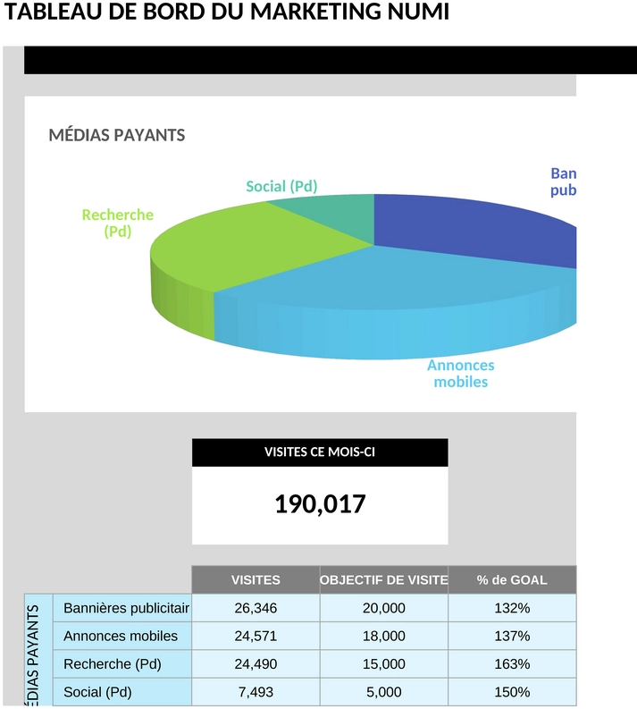 Tableau de Bord Excel pour le Marketing Numérique : Analyse et Suivi de ...